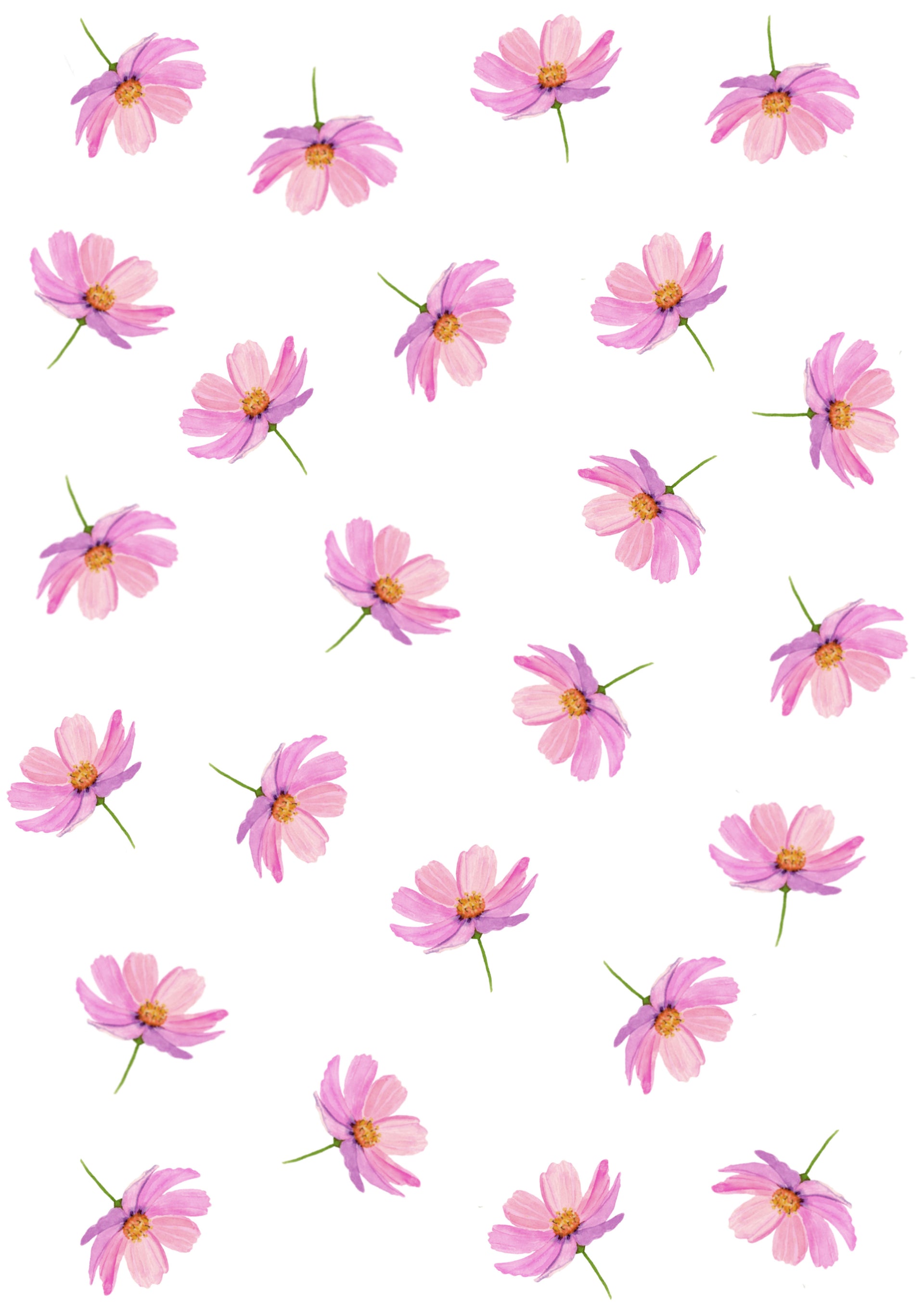 Cosmos – Sailah Lane