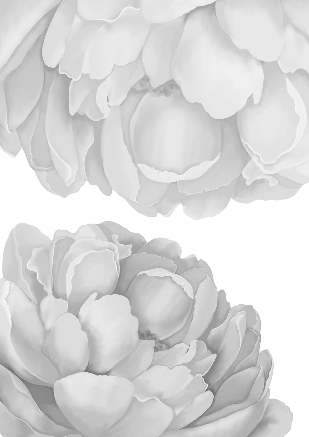 Bloom – Sailah Lane