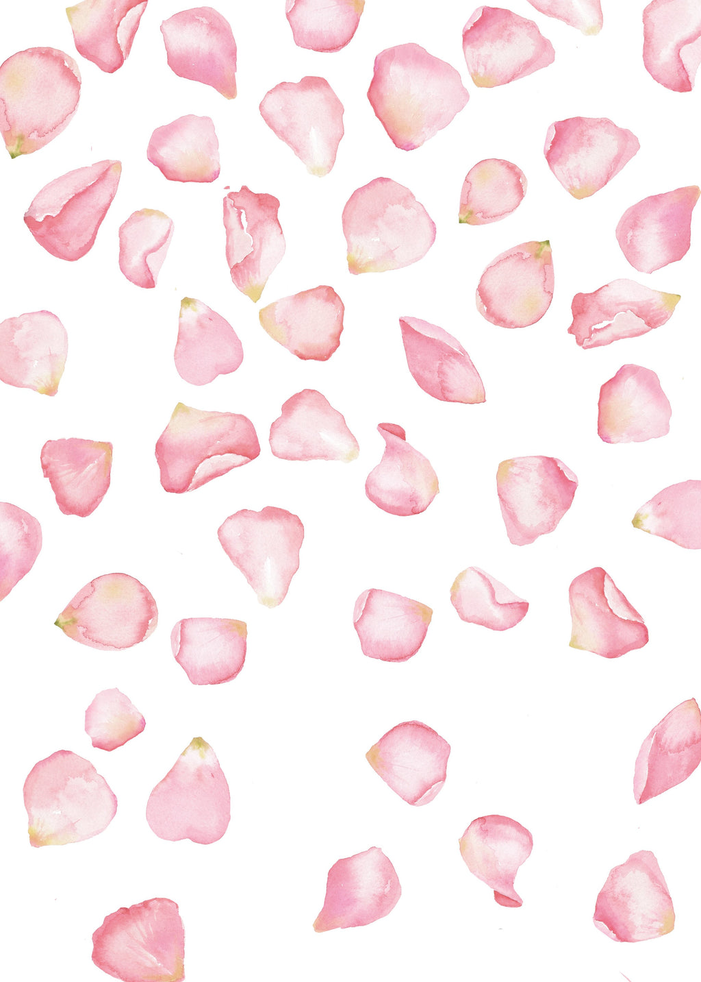 Falling Petals wall stickers – Sailah Lane
