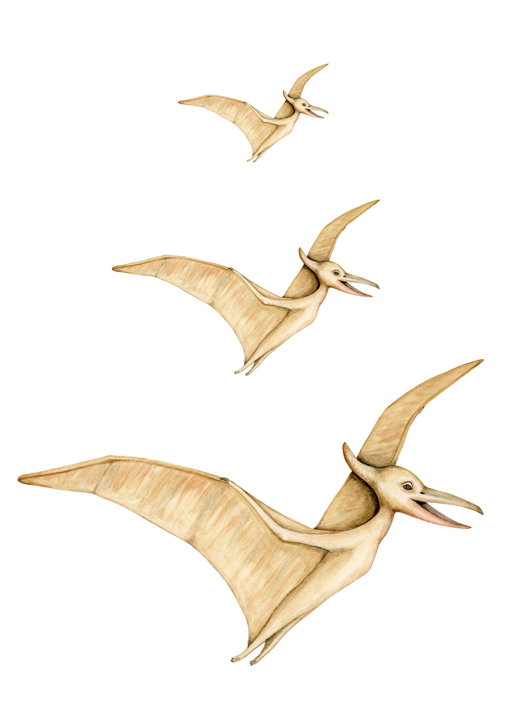 Pterodactyl Wall Stickers – Sailah Lane